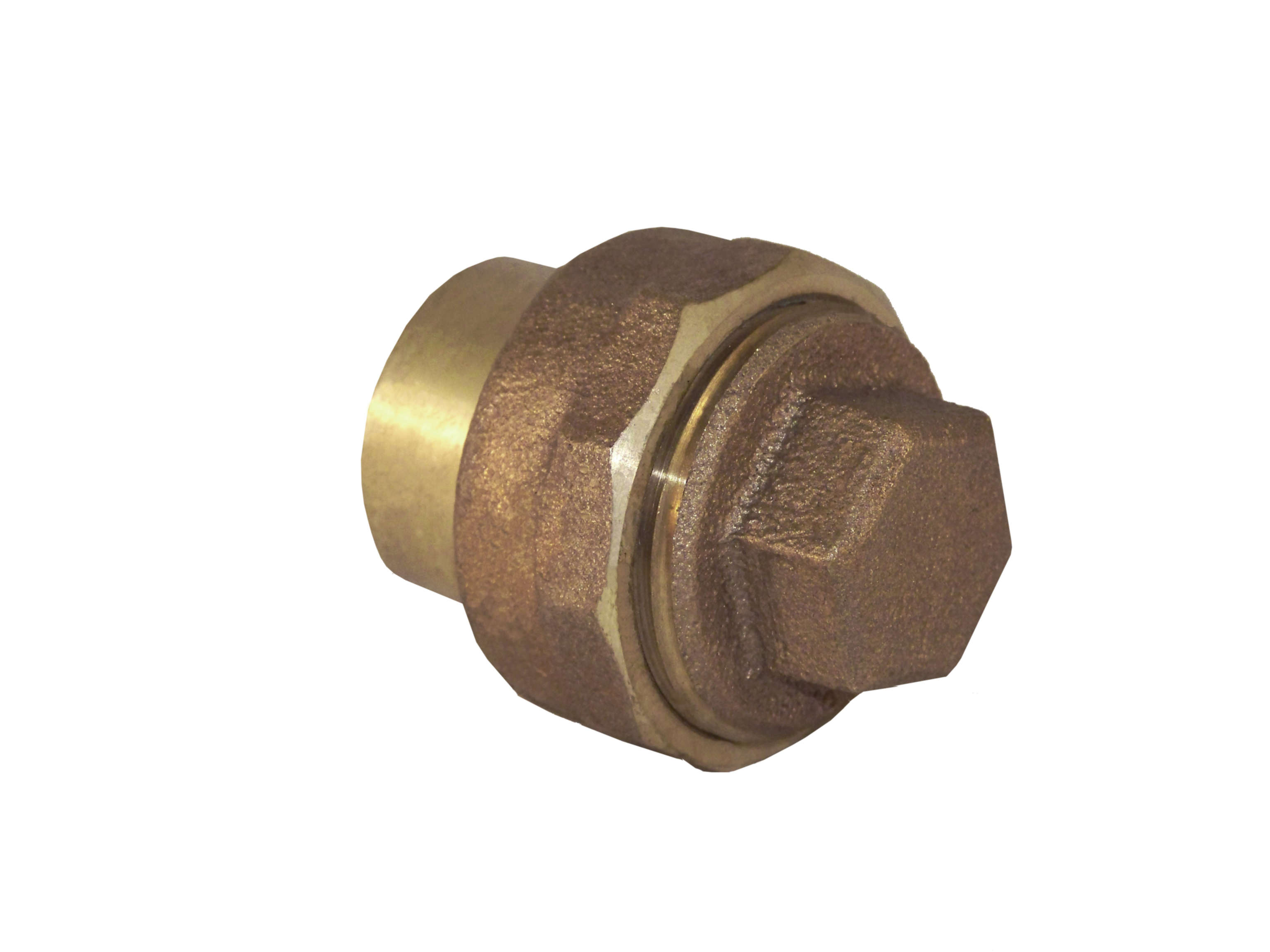 Flush Fitting Cleanout with Plug :: Elkhart Products